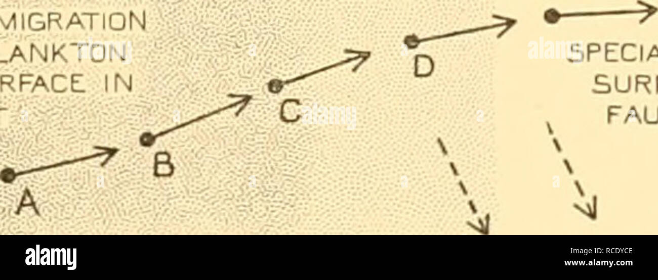 . Discovery reports. Discovery (Ship); Scientific expeditions; Ocean ...