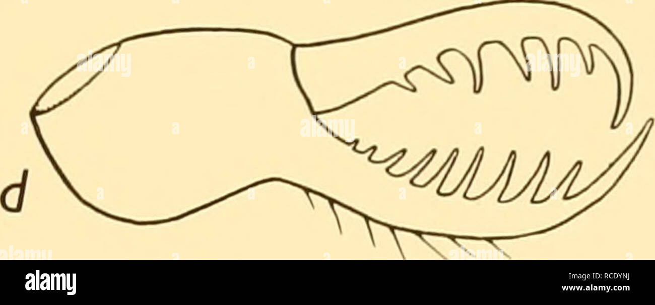 Ide entirely hi-res stock photography and images - Alamy