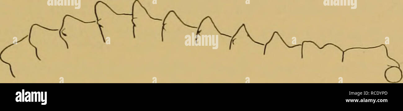 . Discovery reports. Discovery (Ship); Scientific expeditions; Ocean ...