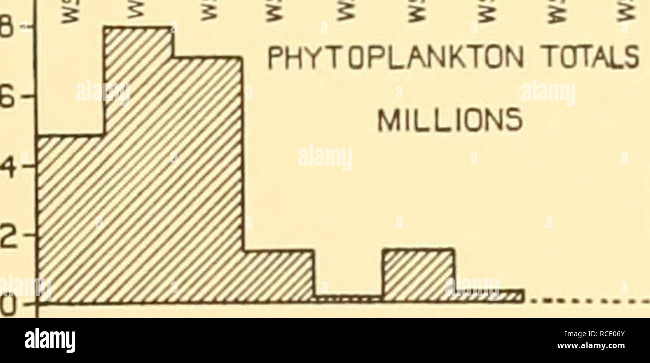 Corethron hi-res stock photography and images - Alamy