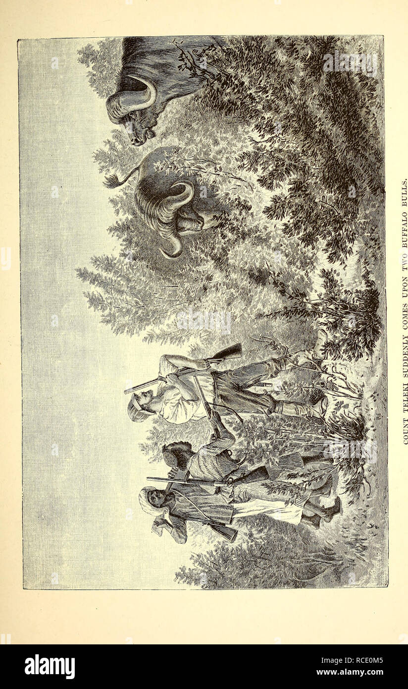 Teleki samuel hi-res stock photography and images - Alamy