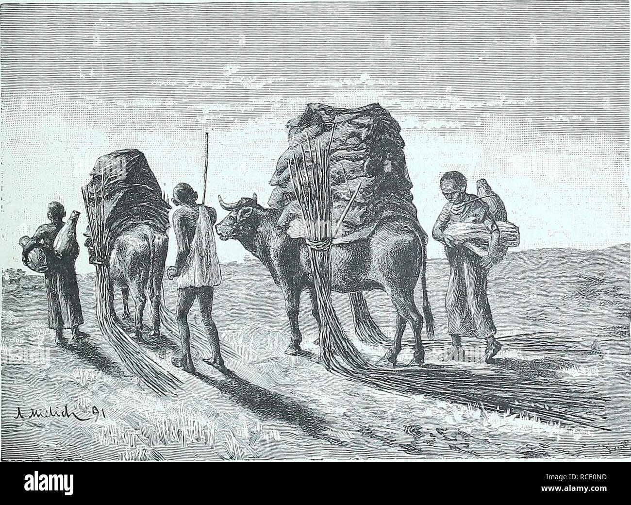 Slunk hi-res stock photography and images - Alamy