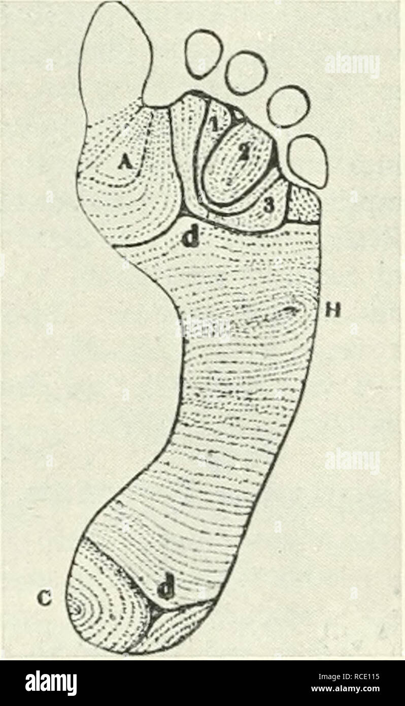 Toe loops hi-res stock photography and images - Alamy