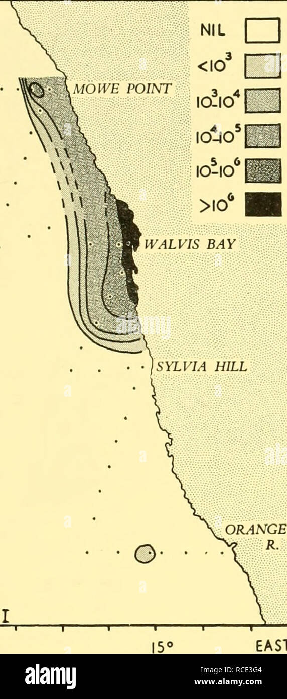 Stenohaline hi-res stock photography and images - Alamy