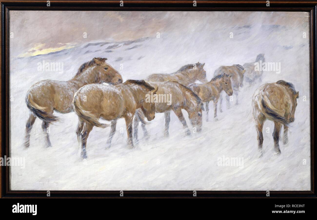 Alexei komarov hi-res stock photography and images - Alamy