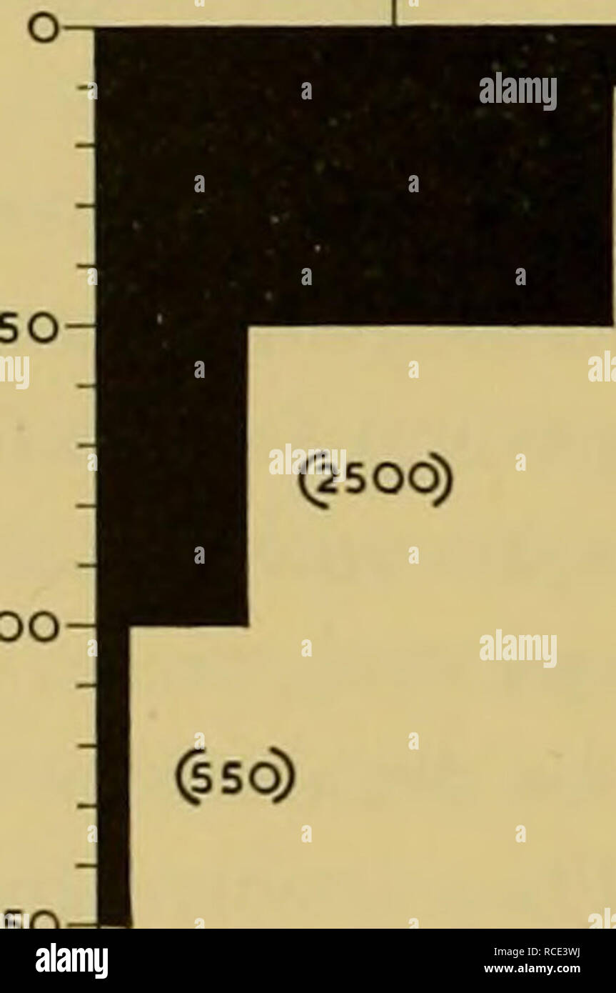 . Discovery reports. Discovery (Ship); Scientific expeditions; Ocean ...