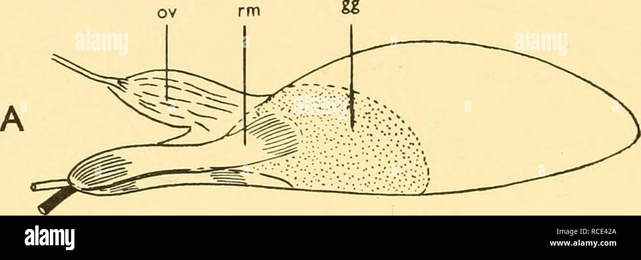 Gas entry point hi-res stock photography and images - Alamy