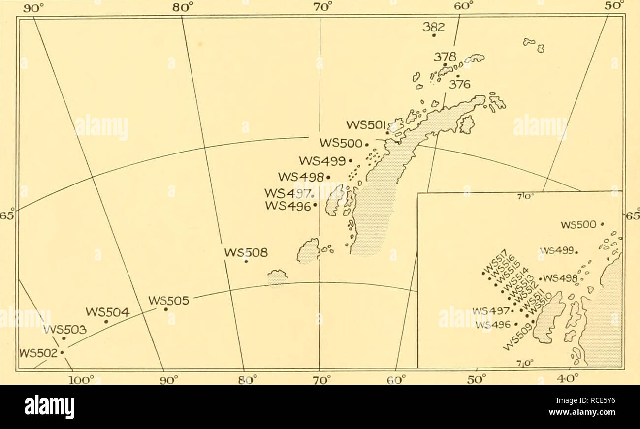 . Discovery reports. Discovery (Ship); Scientific expeditions; Ocean ...