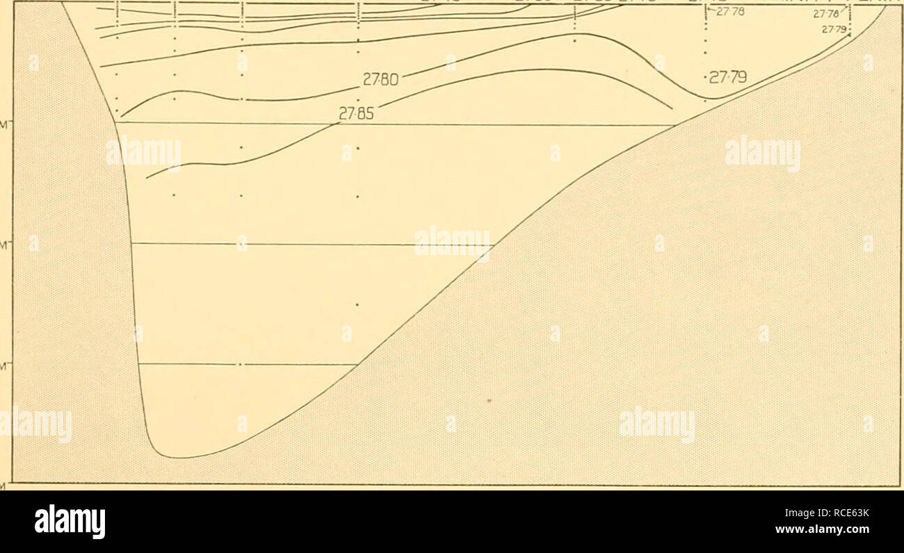 . Discovery reports. Discovery (Ship); Scientific expeditions; Ocean ...