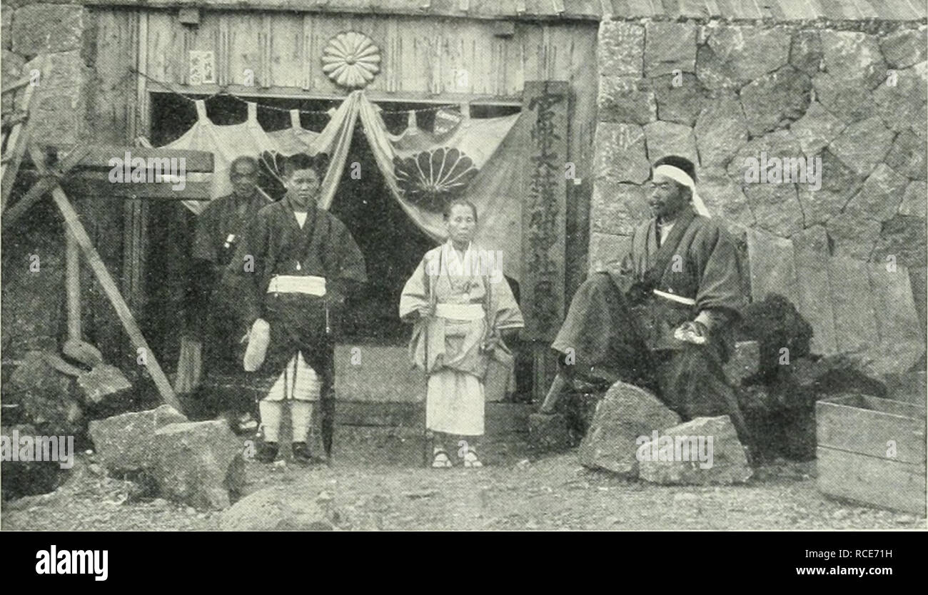 Lord of mice hi-res stock photography and images - Alamy