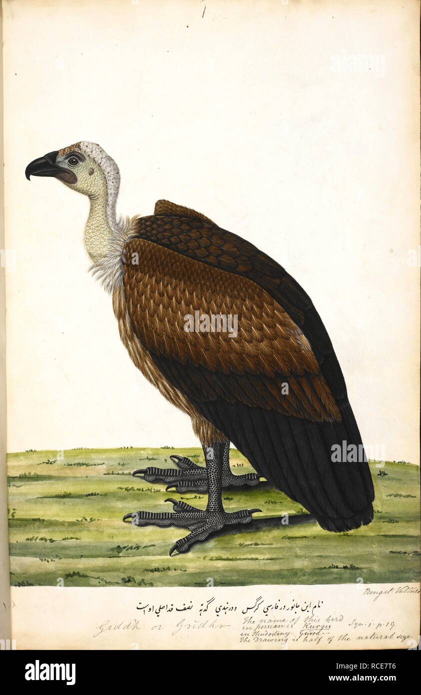 Nastaliq hi-res stock photography and images - Alamy