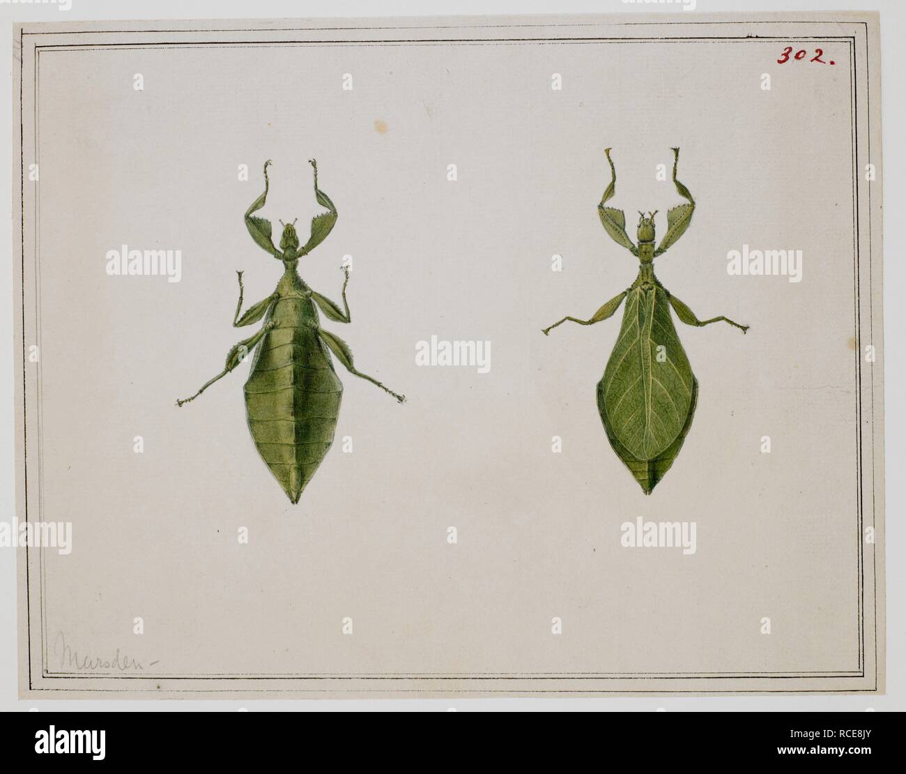 206 mm hi-res stock photography and images - Alamy