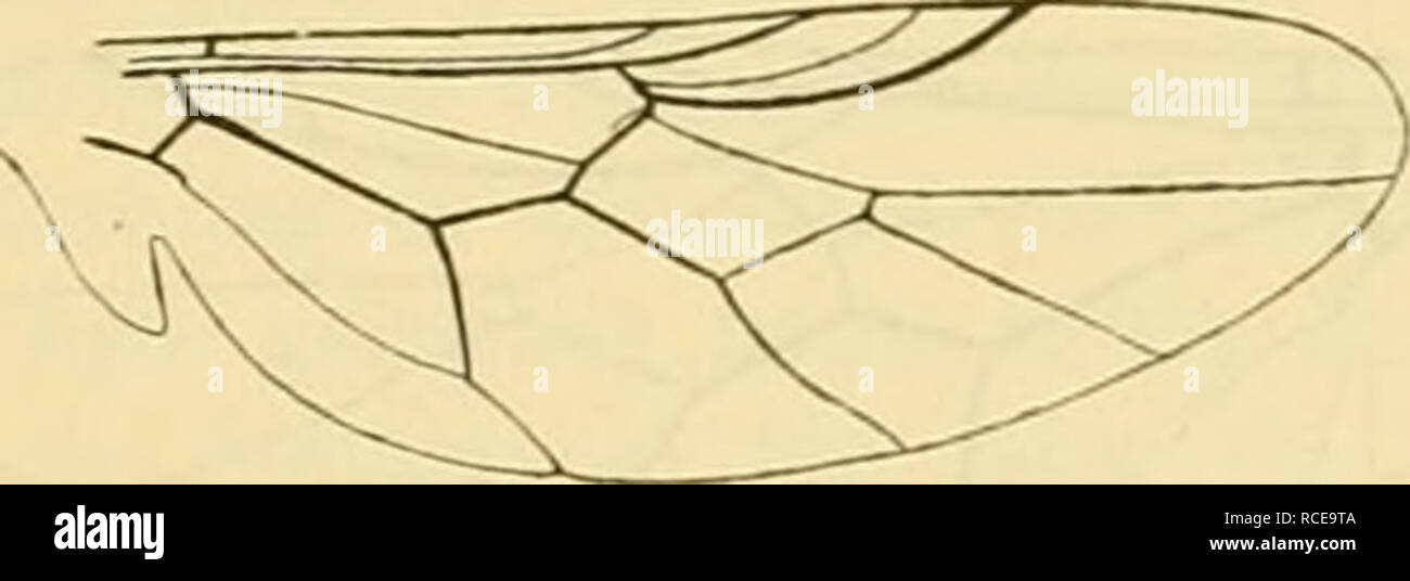 . Diptera danica : genera and species of flies hitherto found in ...