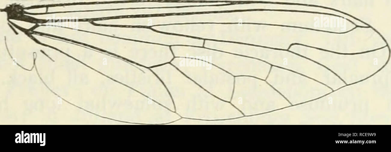 . Diptera Danica: genera and species of flies hitherto found in Denmark ...