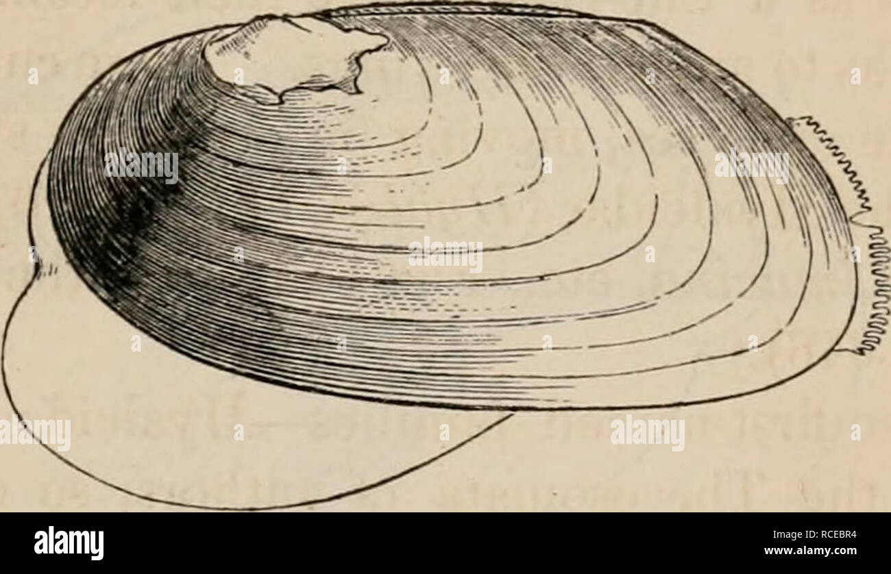 Joined valves hi-res stock photography and images - Alamy