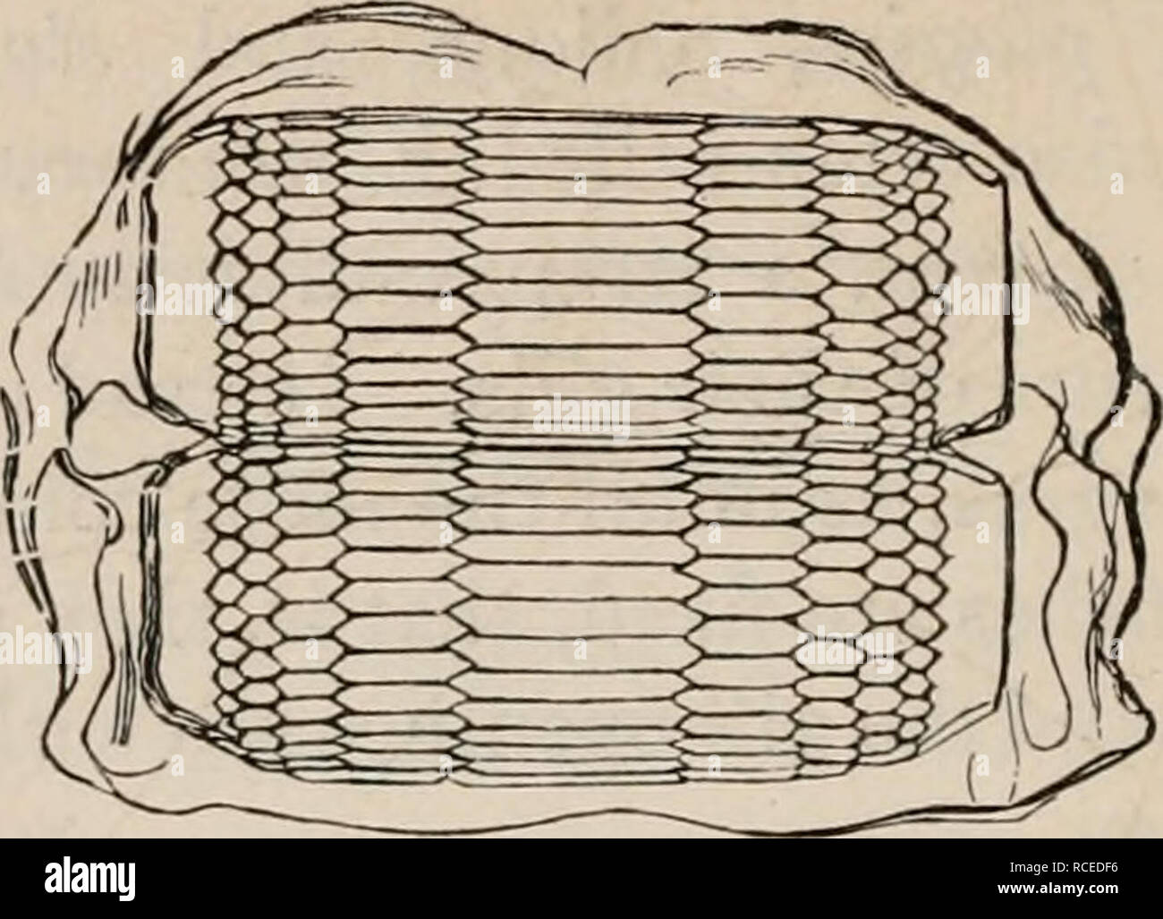 256 ton hi-res stock photography and images - Alamy