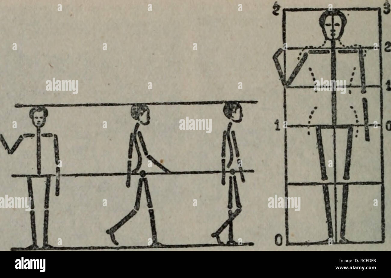 . Physiology of tree crops; proceedings of a symposium held at Long ...