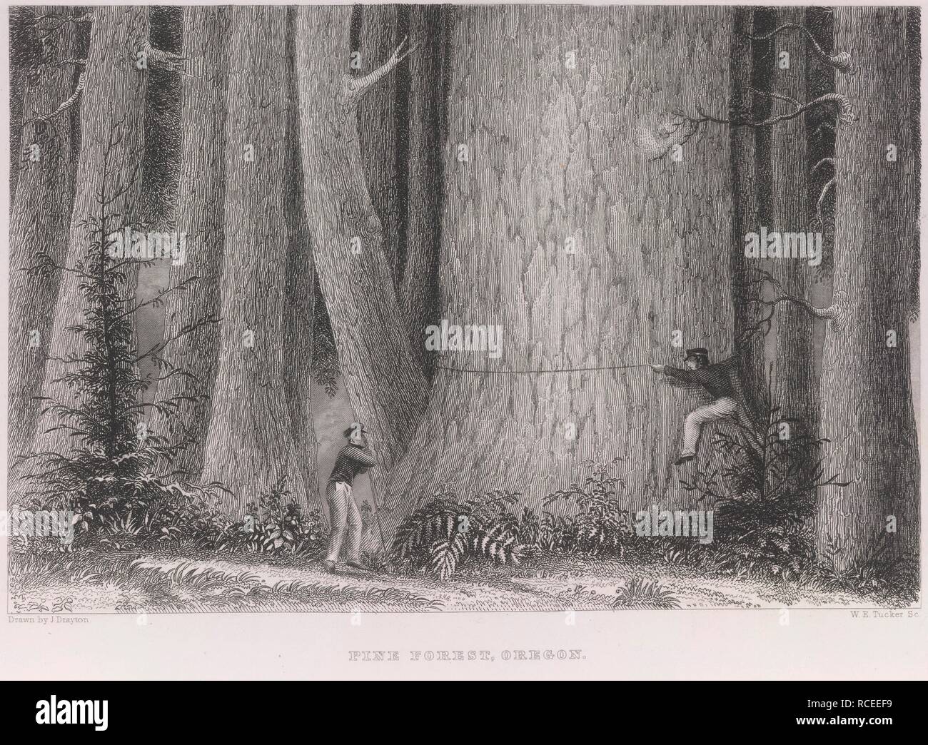 American expeditio hi-res stock photography and images - Alamy