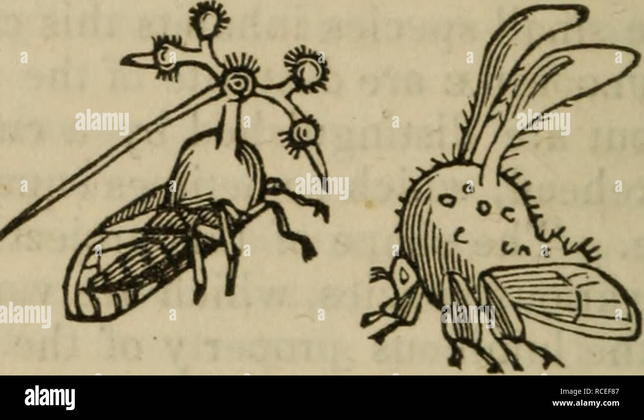 . Elements of zoology, or, Natural history of animals / ed. by D.M ...