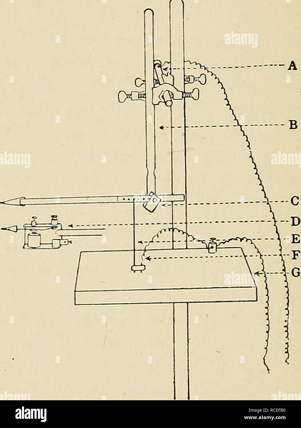 frog heart experiment