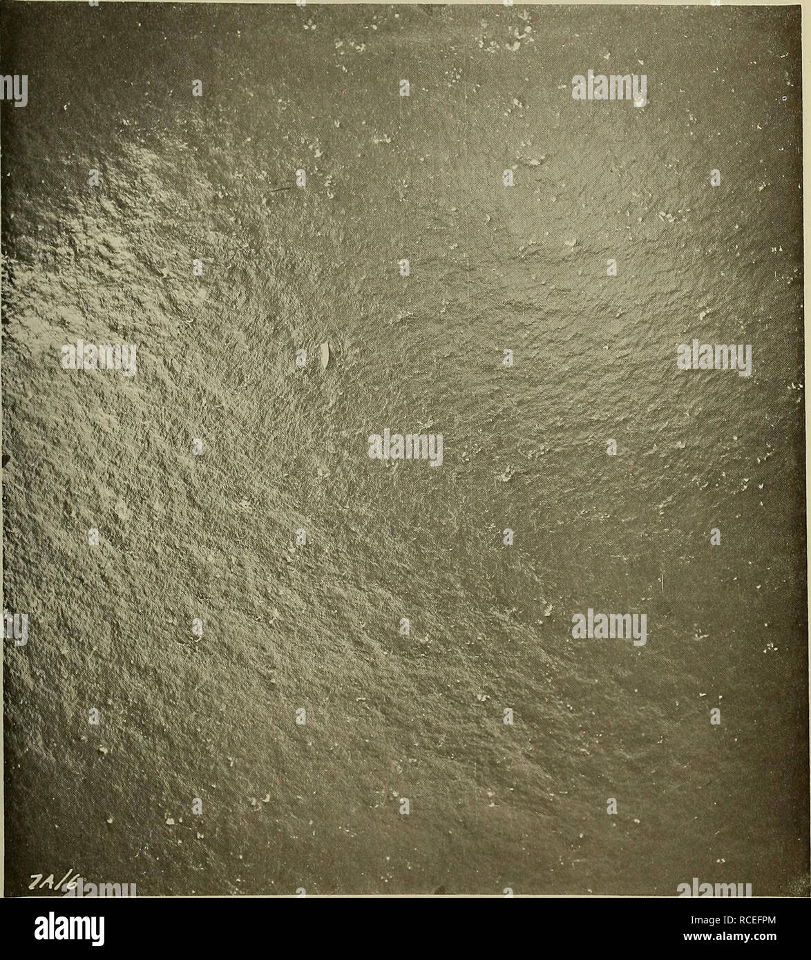 Scientific observation note hi-res stock photography and images - Alamy