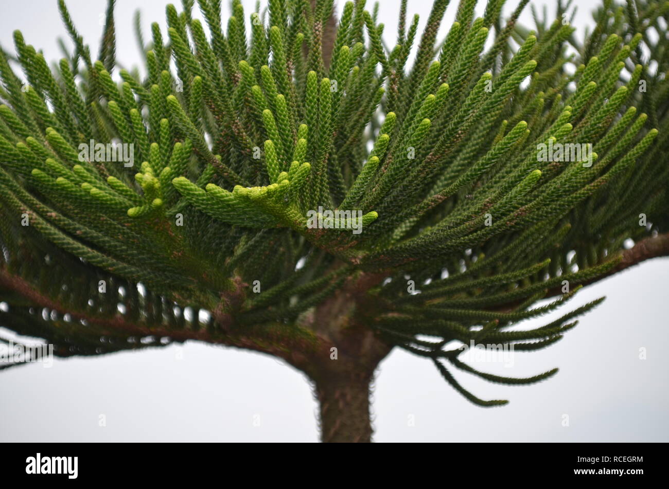 Green garden with ancient buildings and structures hi-res stock ...