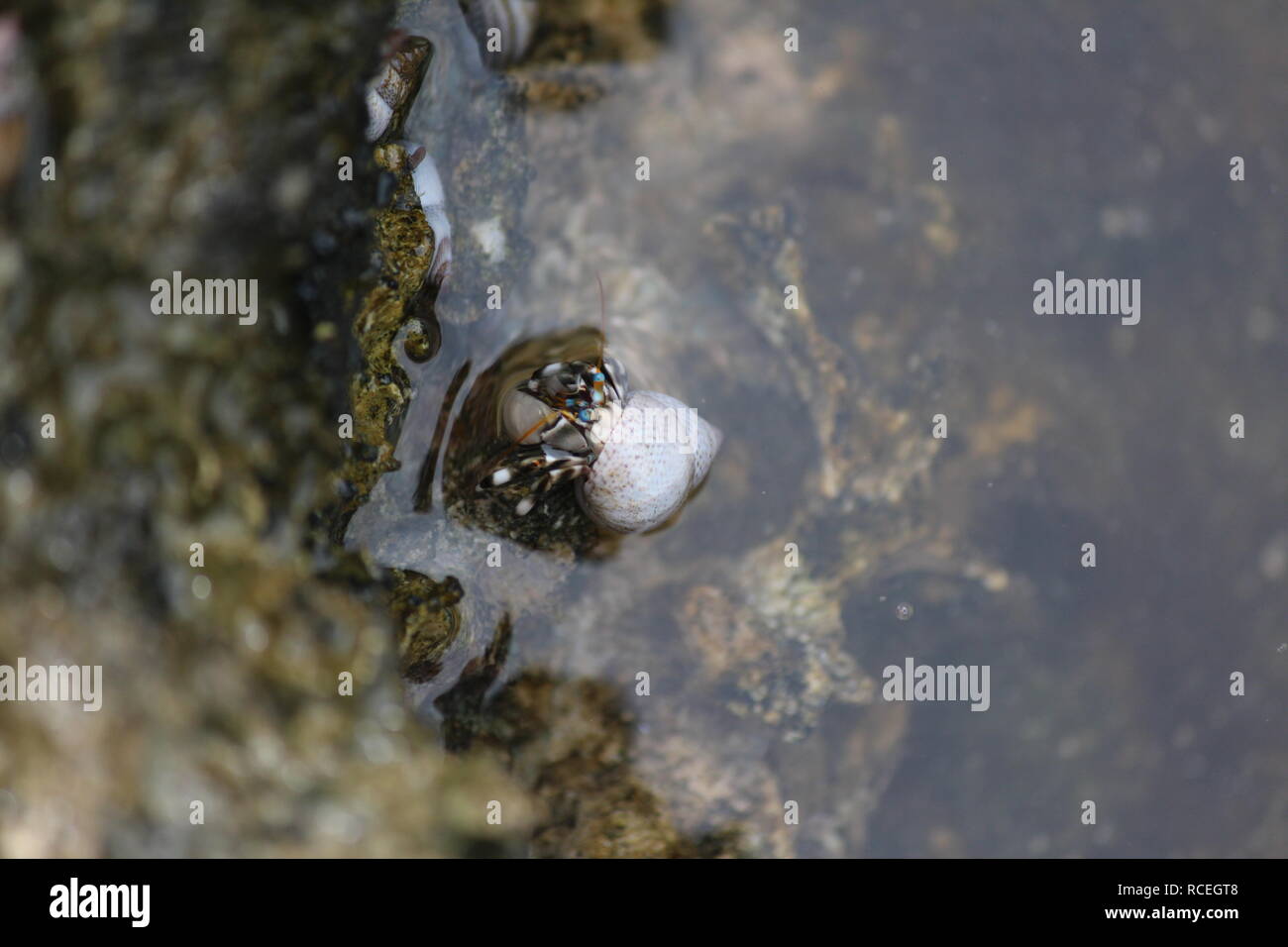 Hawaii beaches hi-res stock photography and images - Alamy