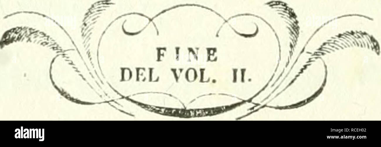 Lucella hi-res stock photography and images - Alamy