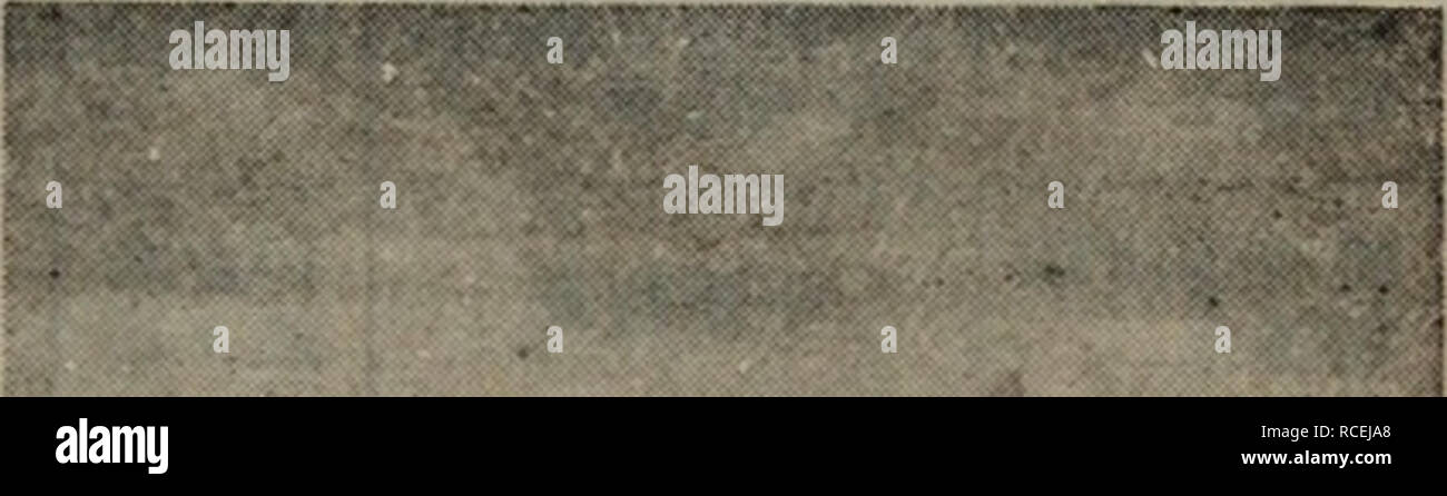 Ec mmn hi-res stock photography and images - Alamy