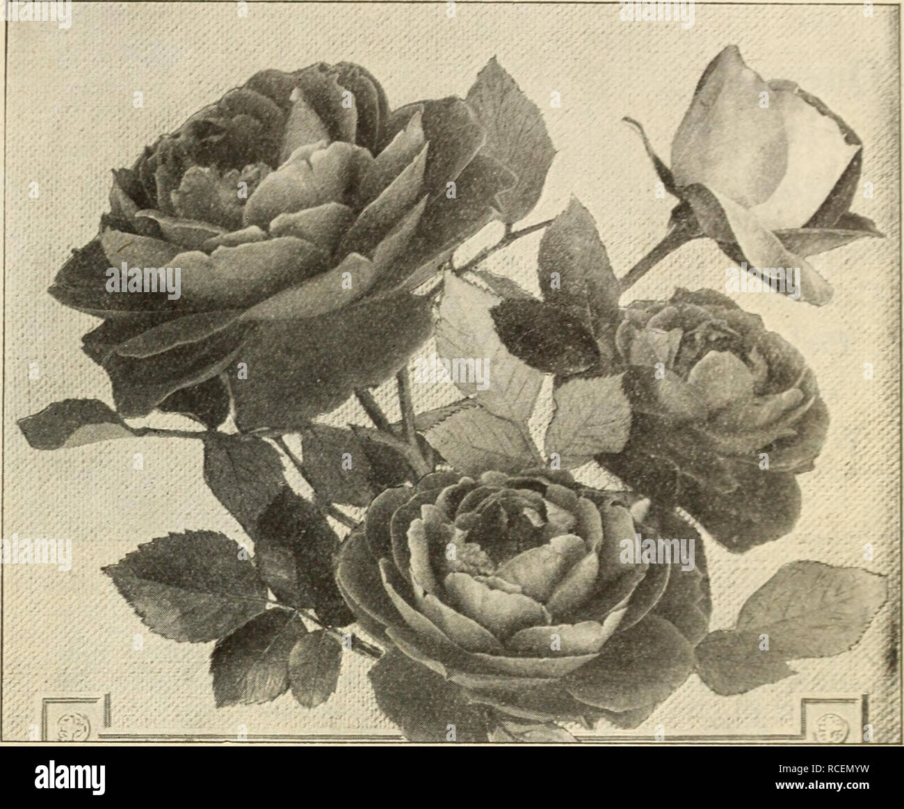 55 cent stamp hi-res stock photography and images - Alamy