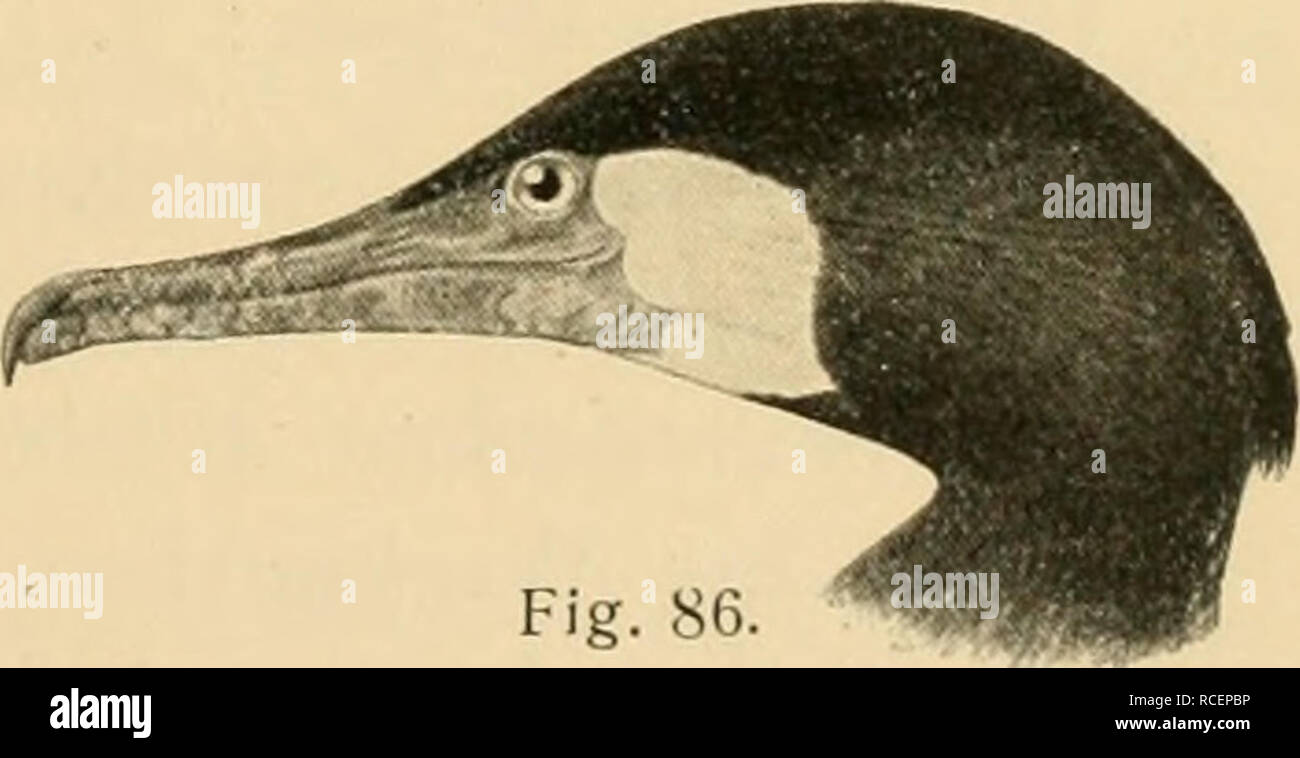 Ta eigen hi-res stock photography and images - Alamy