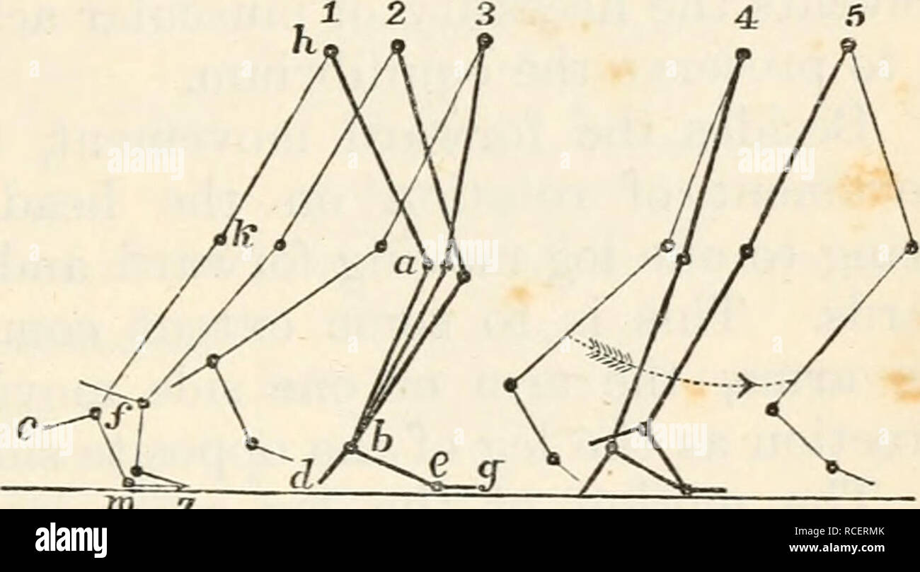 Movement Body Outlines