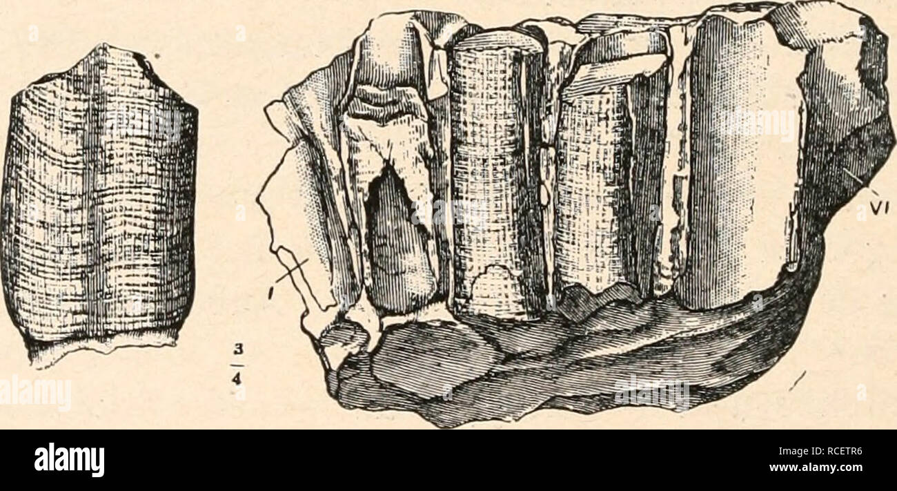 Neumexiko hi-res stock photography and images - Alamy