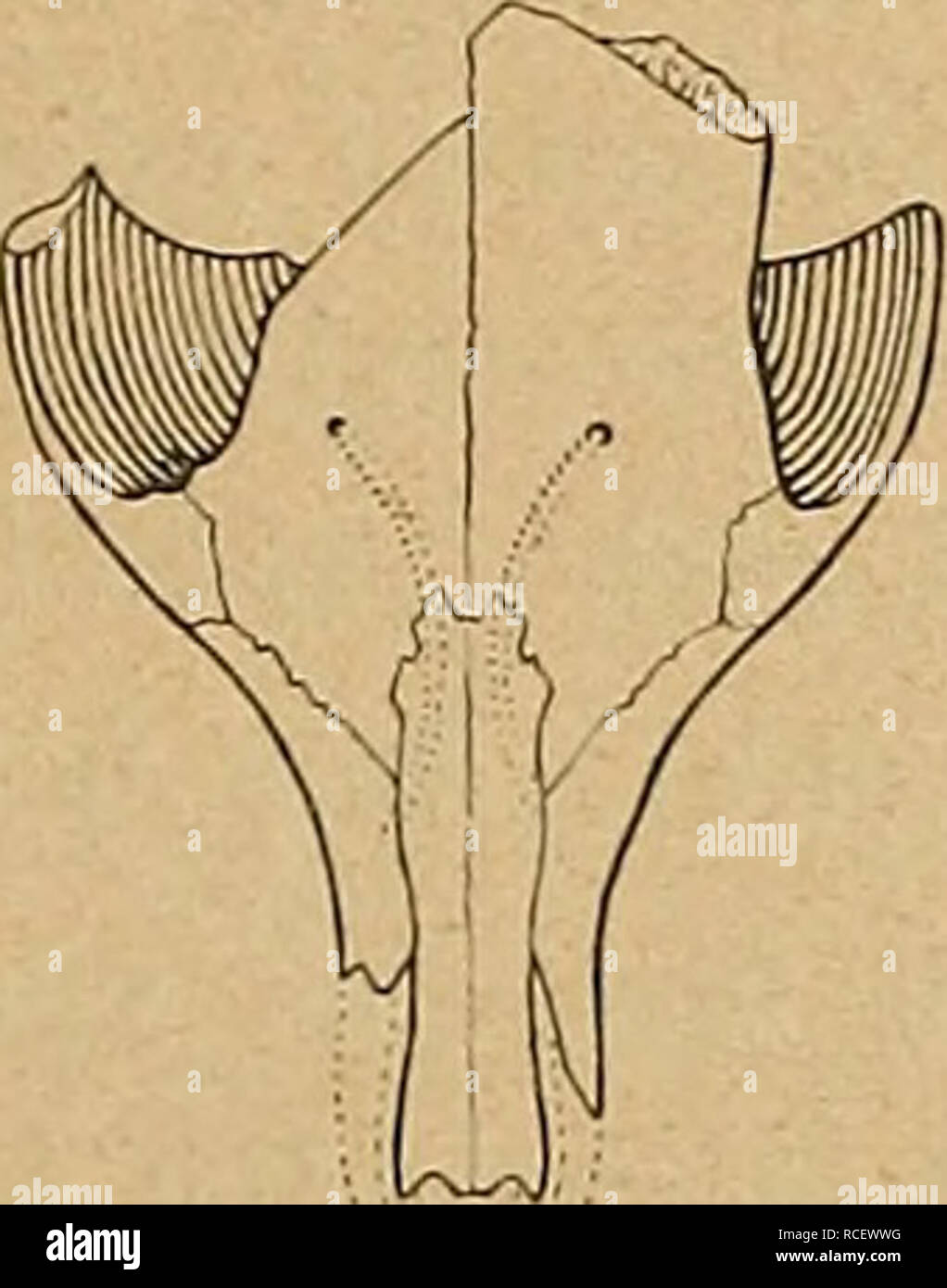 Sammlung von materialien hi-res stock photography and images - Alamy