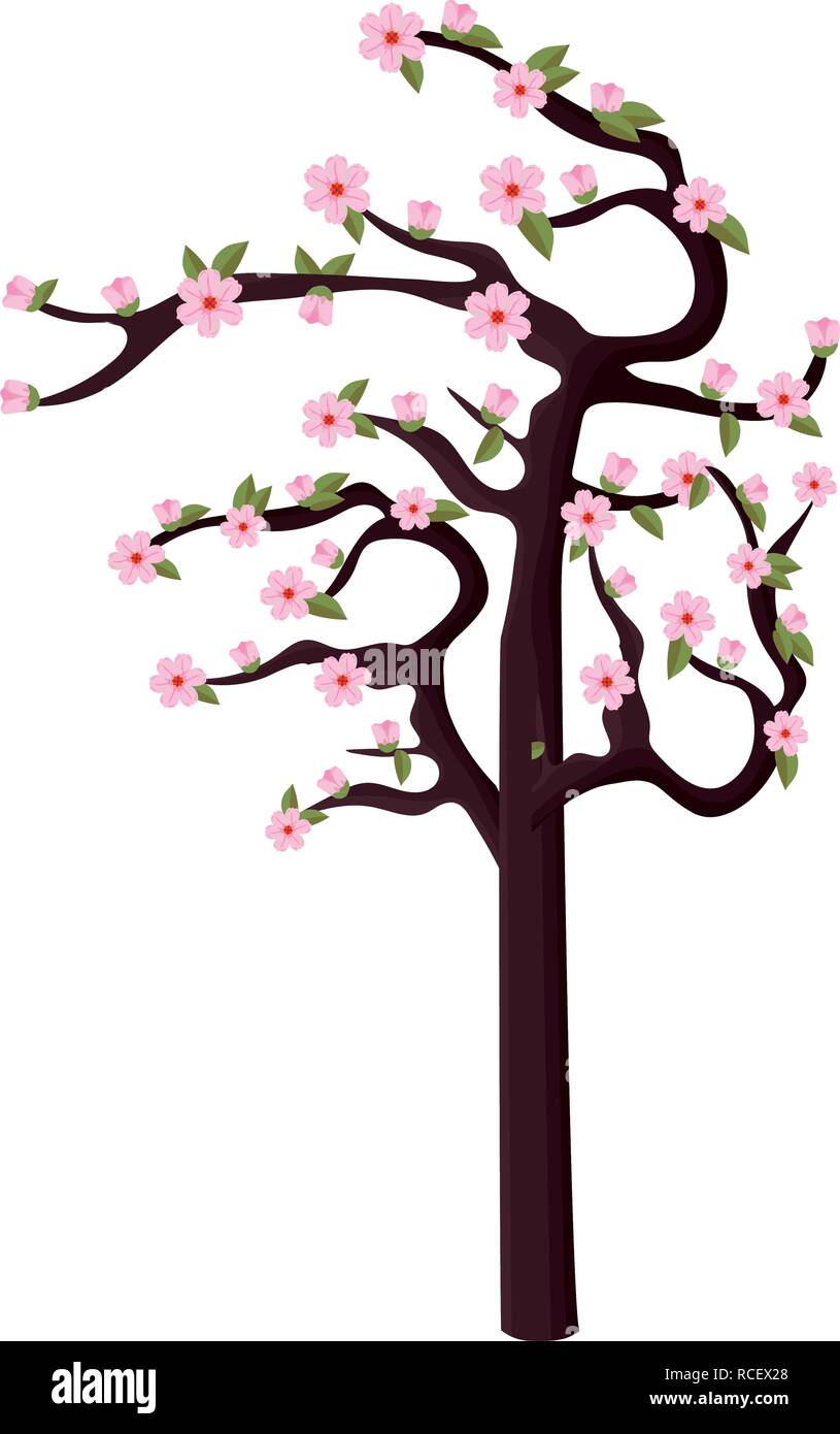cherry blossom tree Stock Vector Image & Art - Alamy