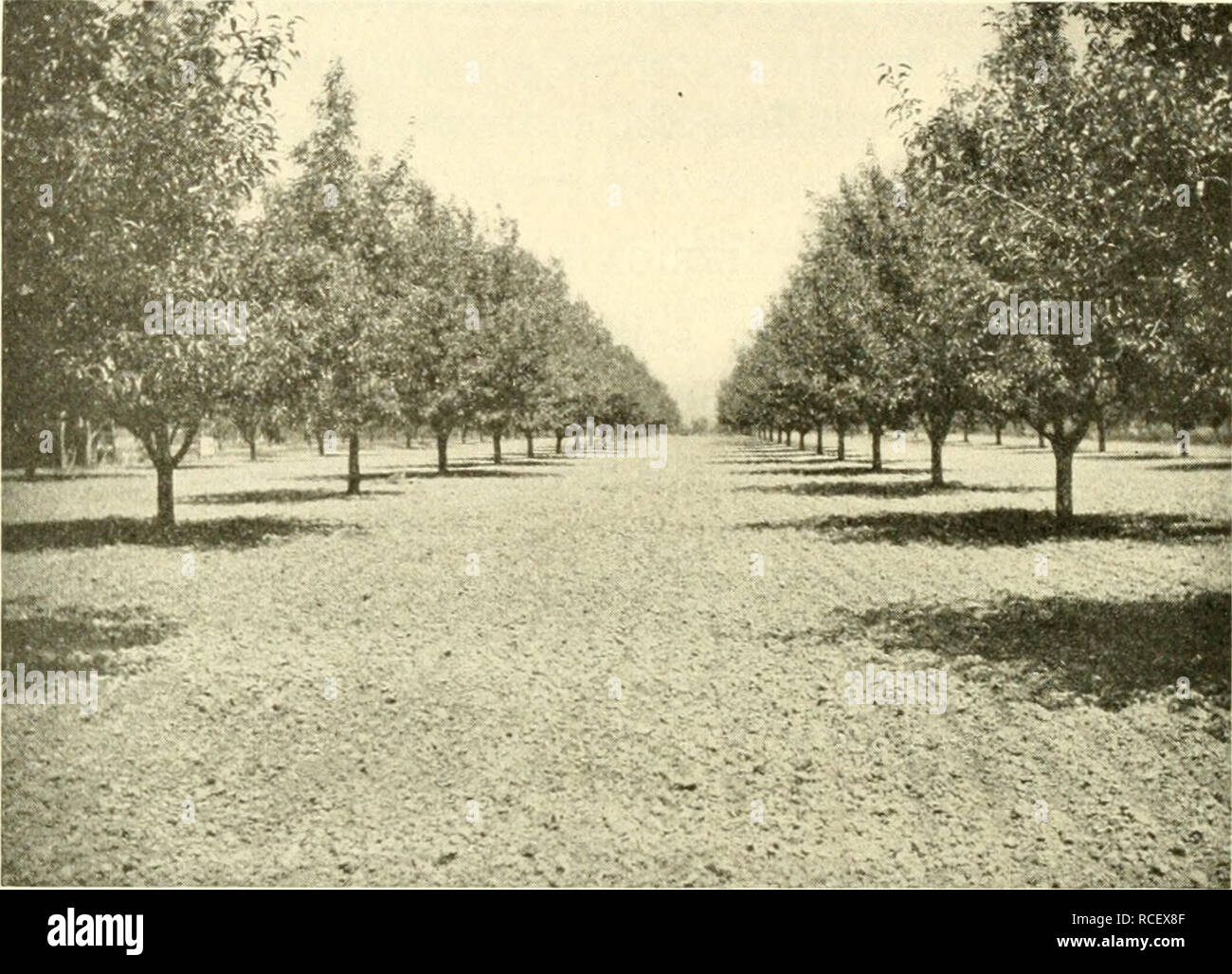 Highest point on canal hi-res stock photography and images - Alamy