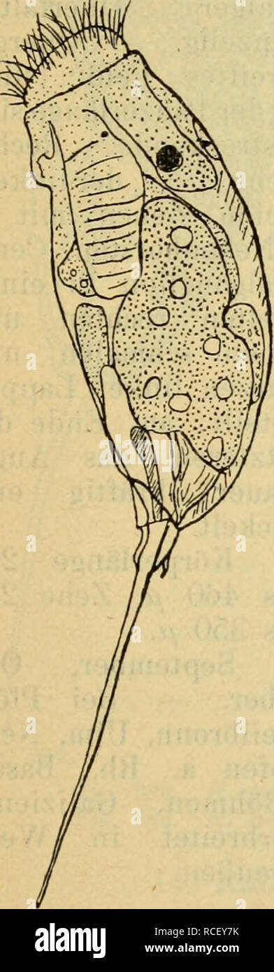 Carmat hi-res stock photography and images - Alamy
