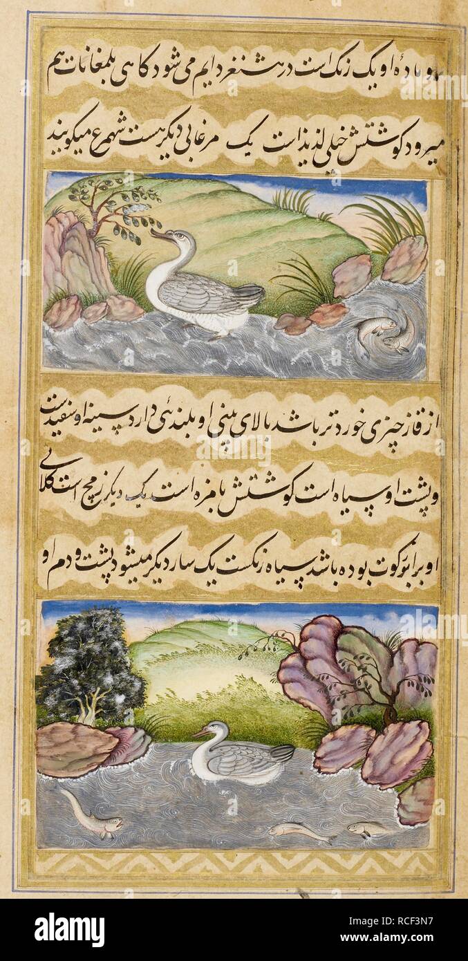 Vakiat i baburi hi-res stock photography and images - Alamy