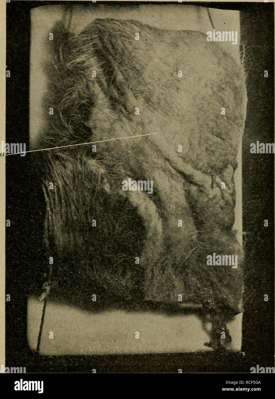 Bleibendes hi-res stock photography and images - Alamy