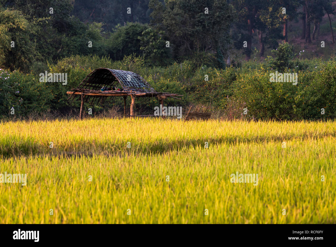 Resting hut hi-res stock photography and images - Alamy