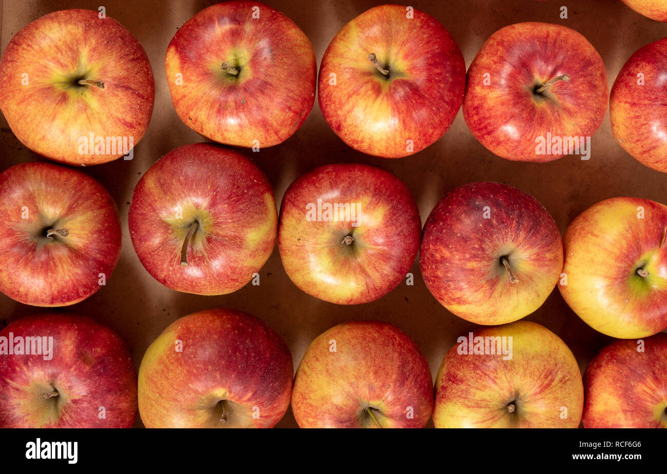 red and yellow organic apples from the Normandy Stock Photo - Alamy
