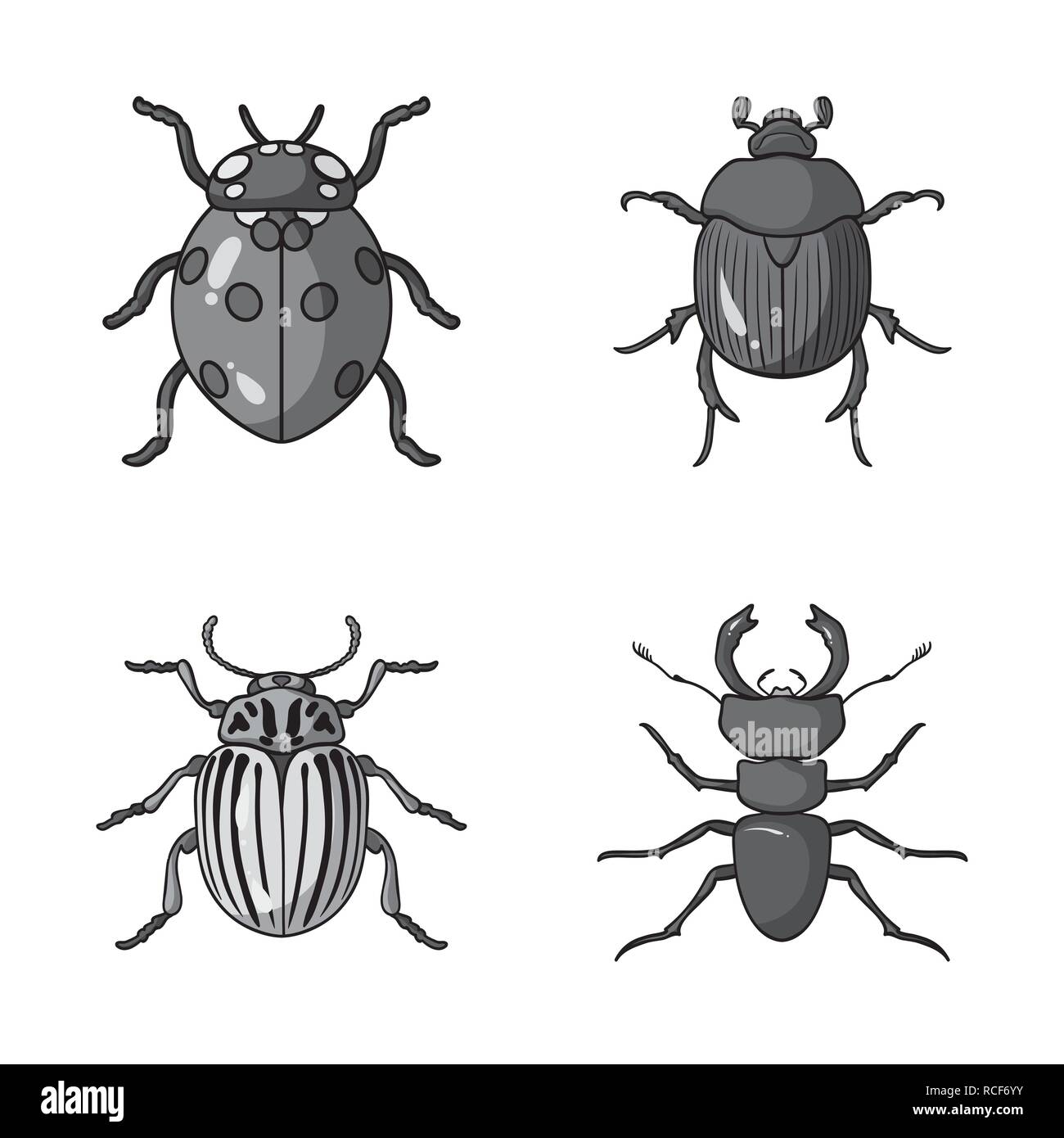horn,ladybug,pest,cockroach,bug,insect,beetle,animal,halloween,drawn ...