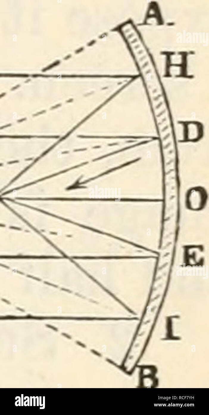 . The elements of physiological physics: an outline of the elementary facts, principles, and ...