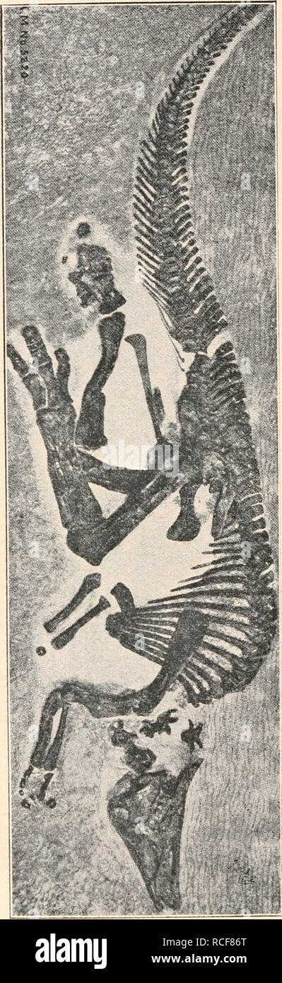 Lich su hi-res stock photography and images - Alamy