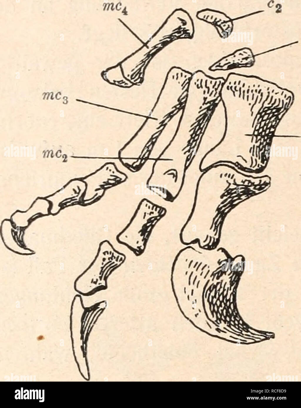 Ver v2 hi-res stock photography and images - Alamy