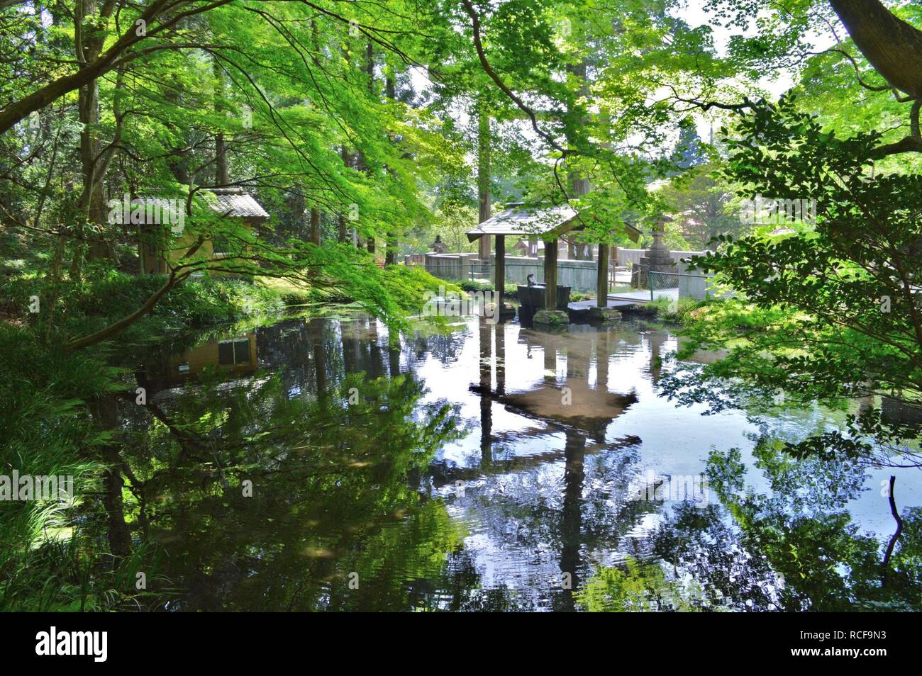 Akagi-jinja (Miyosawa) ike Stock Photo - Alamy
