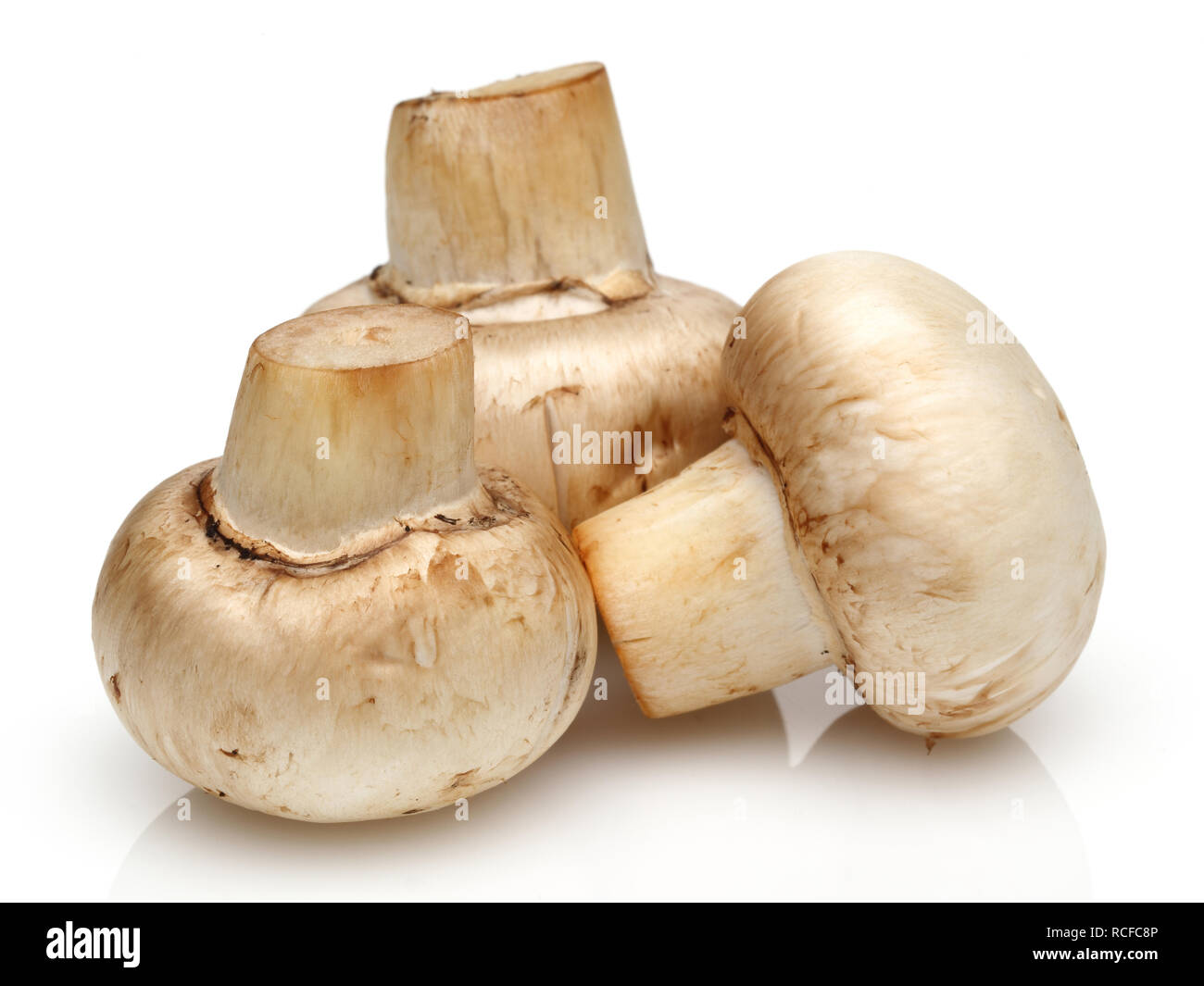 Three Mushrooms isolated on white background Stock Photo - Alamy