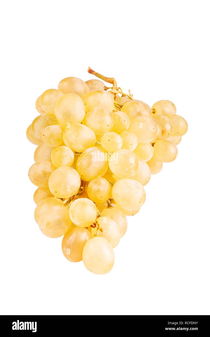 Ripe yellow grape isolated on white. With clipping path. Full depth of ...