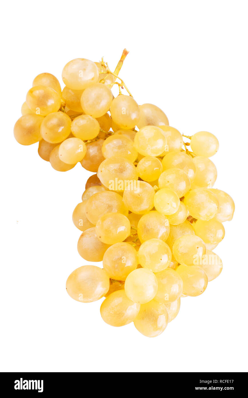 Ripe yellow grape isolated on white. With clipping path. Full depth of ...