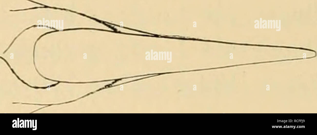 Gebogene linie hi-res stock photography and images - Alamy